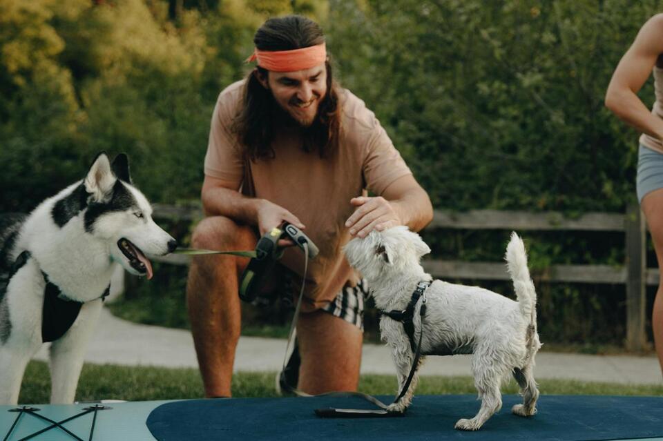 The 7 Best Dogs for Men in 2026 - NewsBreak