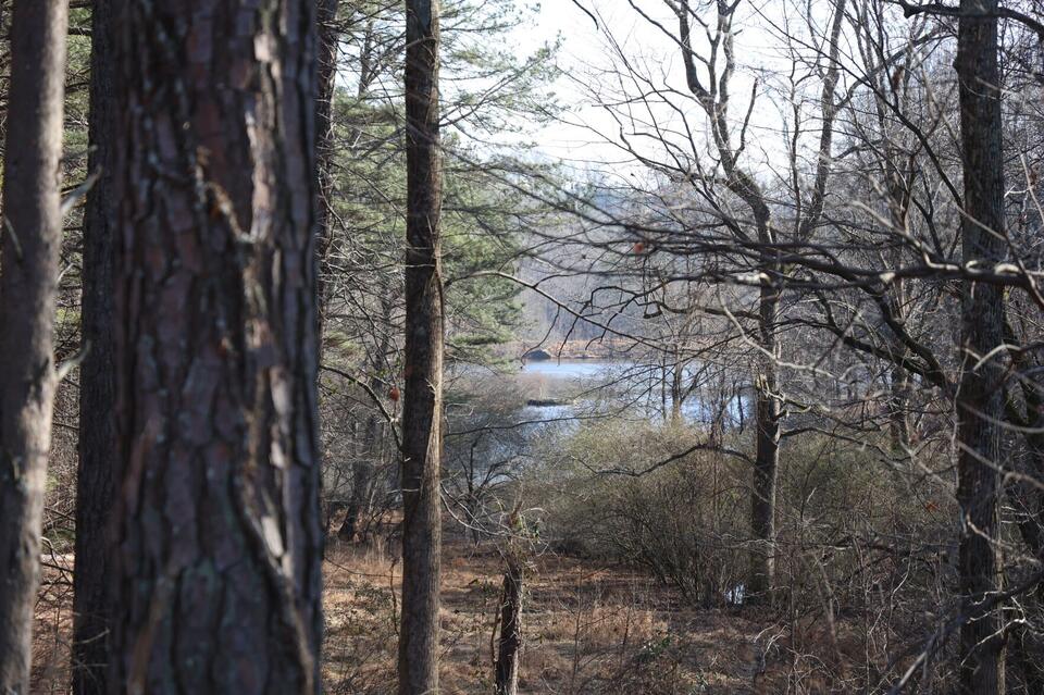 Forsyth County officials approve subdivision with strict protections ...