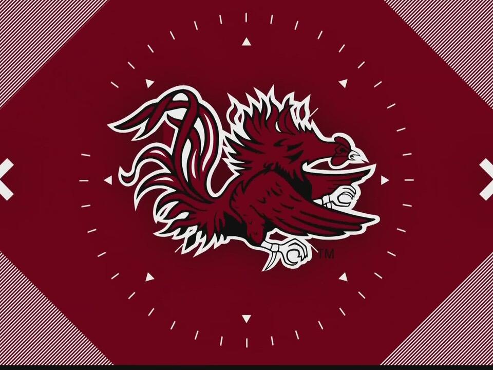 Gamecocks celebrate national championship in Columbia