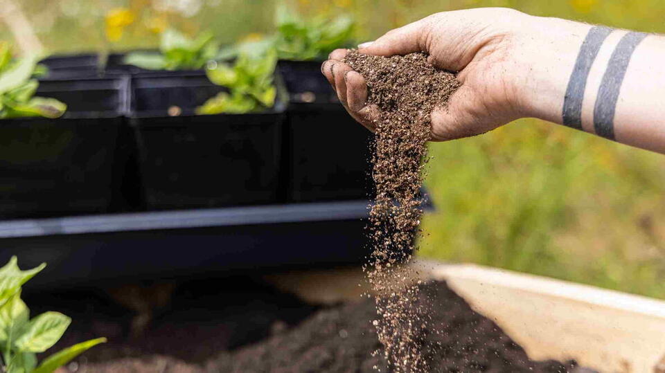 Choosing the Best Soil for Raised Garden Beds - NewsBreak