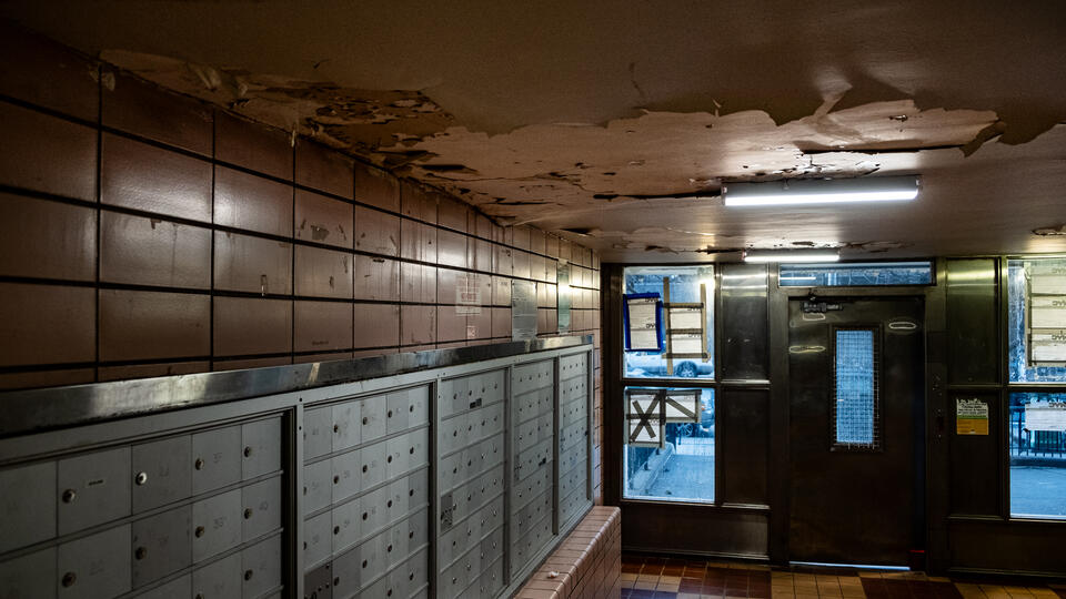 City-Issued Violations at NYCHA Developments Are Now Public, Following ...