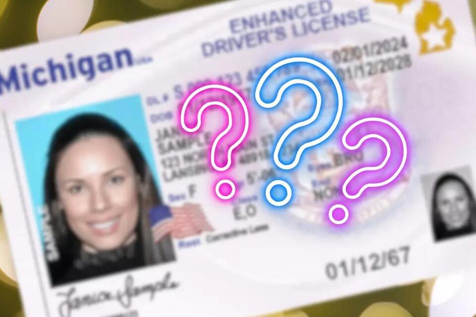 What’s the Difference Between Real ID & Enhanced ID in Michigan ...