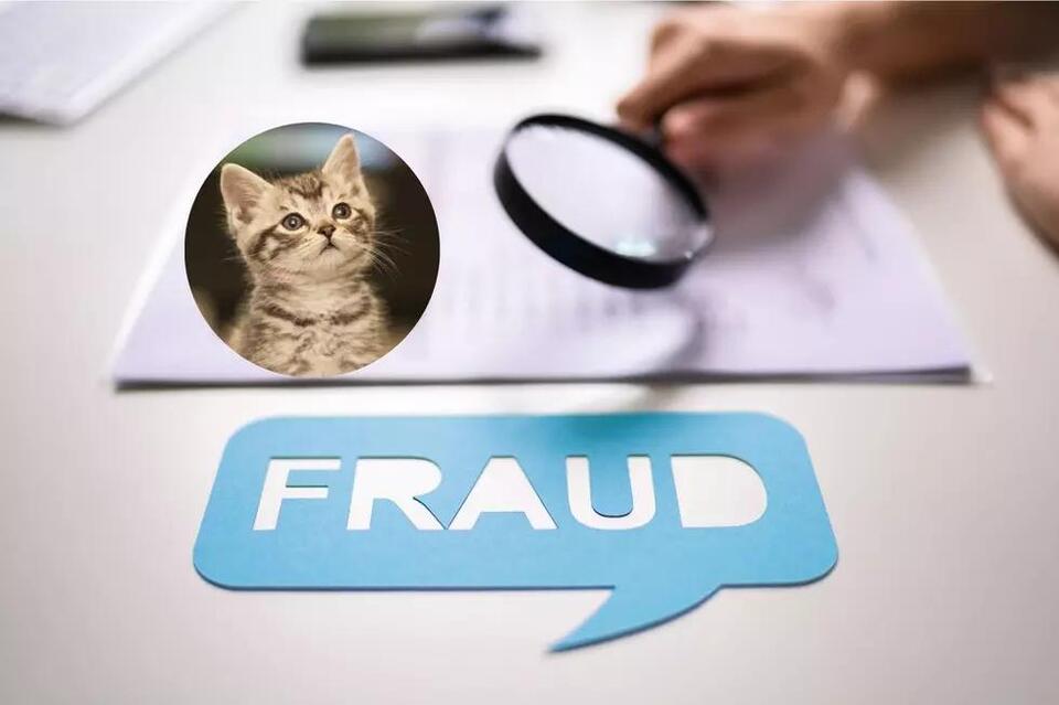 How Did One Woman Scam Individuals With Medicine For Cats? - NewsBreak
