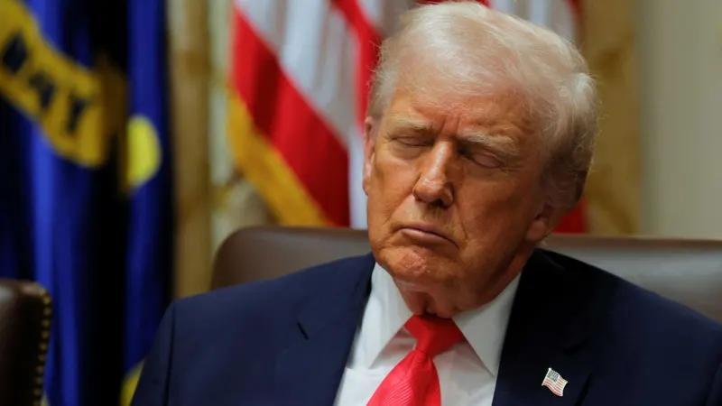 MS NOW panel laughs at Trump official's excuse for speech lies: 'Not ...