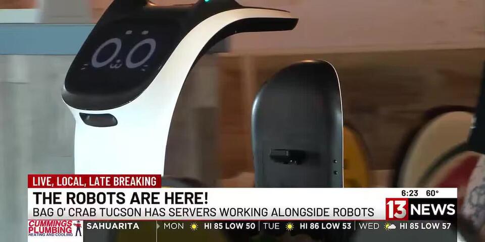 Tucson restaurant uses AI robots to serve customers - NewsBreak