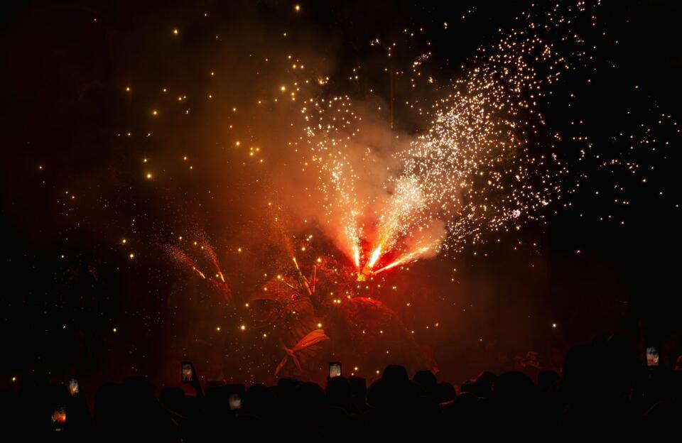 Petition: Ban Fireworks to Protect People After Deaths In Europe ...
