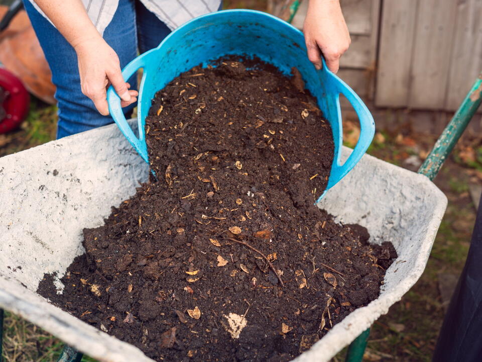 How to stop compost smelling bad – 5 expert methods to keep unpleasant ...