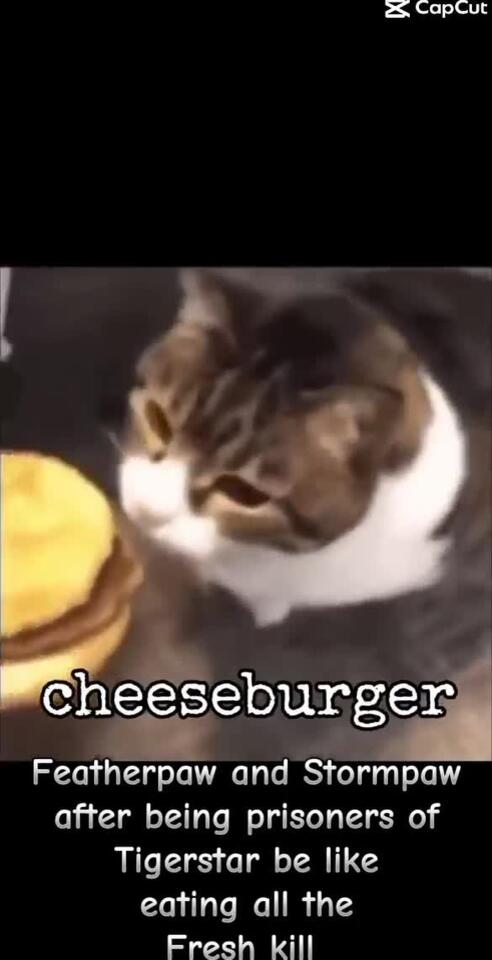 WC meme(Original) - NewsBreak