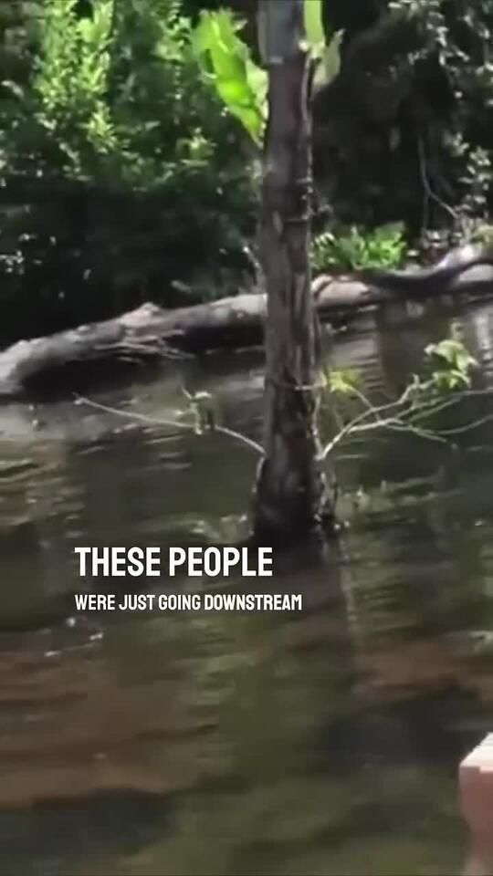 They ran into the biggest snake of alltime - NewsBreak