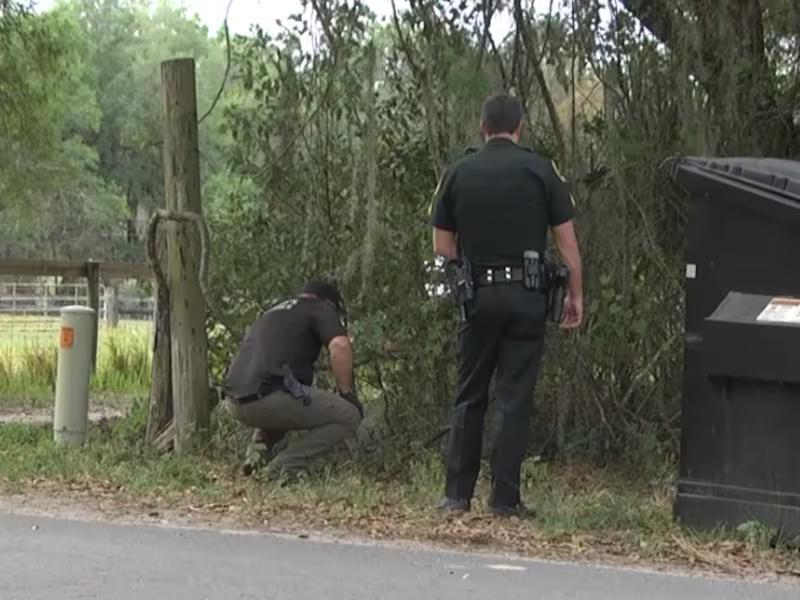 Top crime news stories on TV20 in 2023