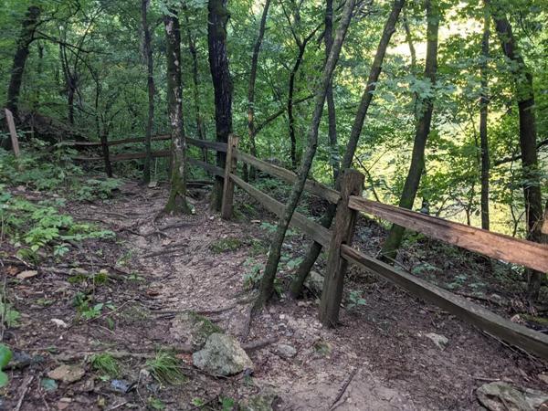 Redbud Valley Nature Preserve reopens for limited time