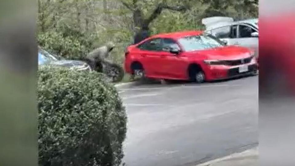 Caught on camera: Thieves steal tires off of car in Largo parking lot - NewsBreak