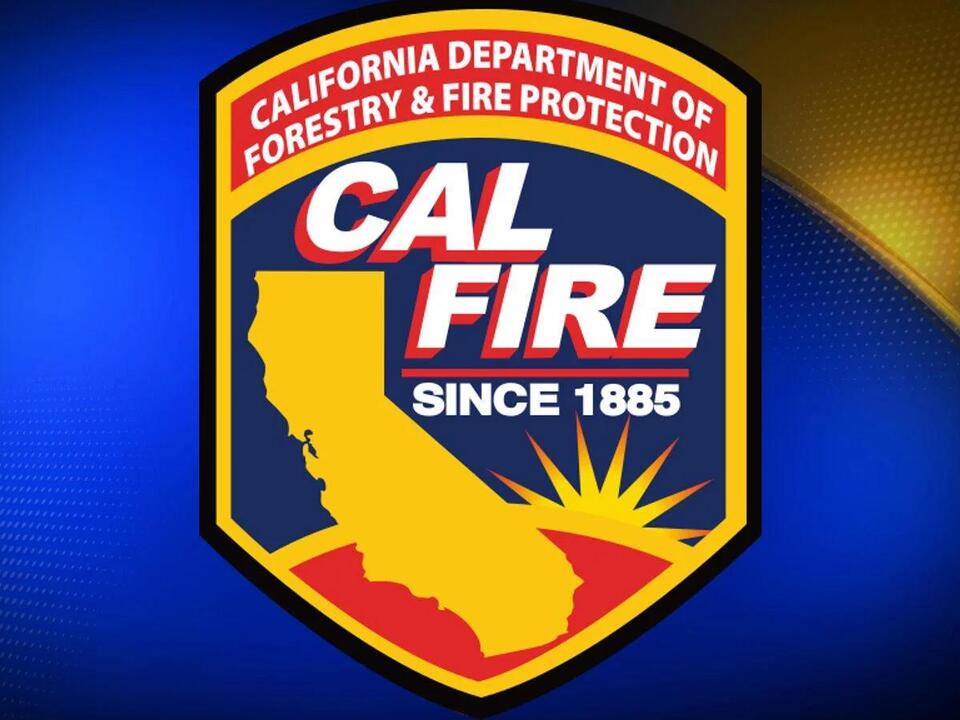 CAL FIRE arson arrest statistics