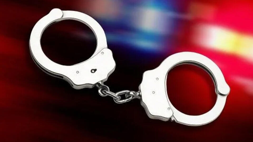 Keansburg woman charged for leaving baby, dog in vehicle, police say ...