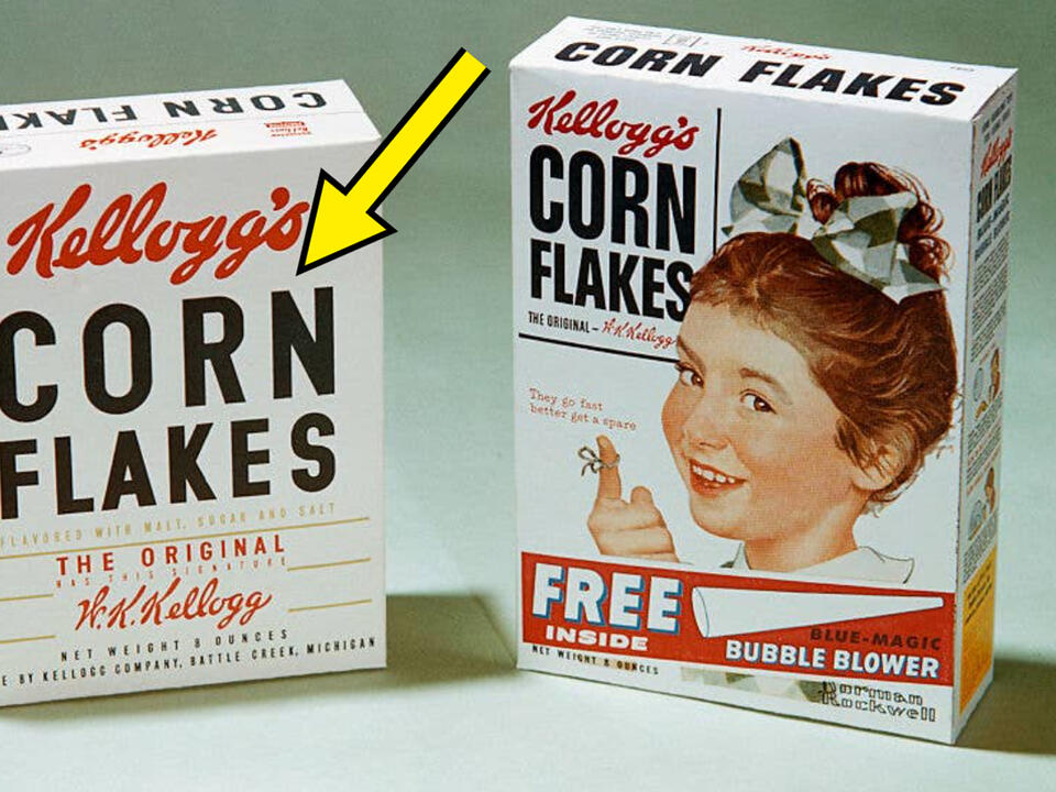 75 Weirdly Interesting Facts That Are So Fascinating It Feels Like My ...