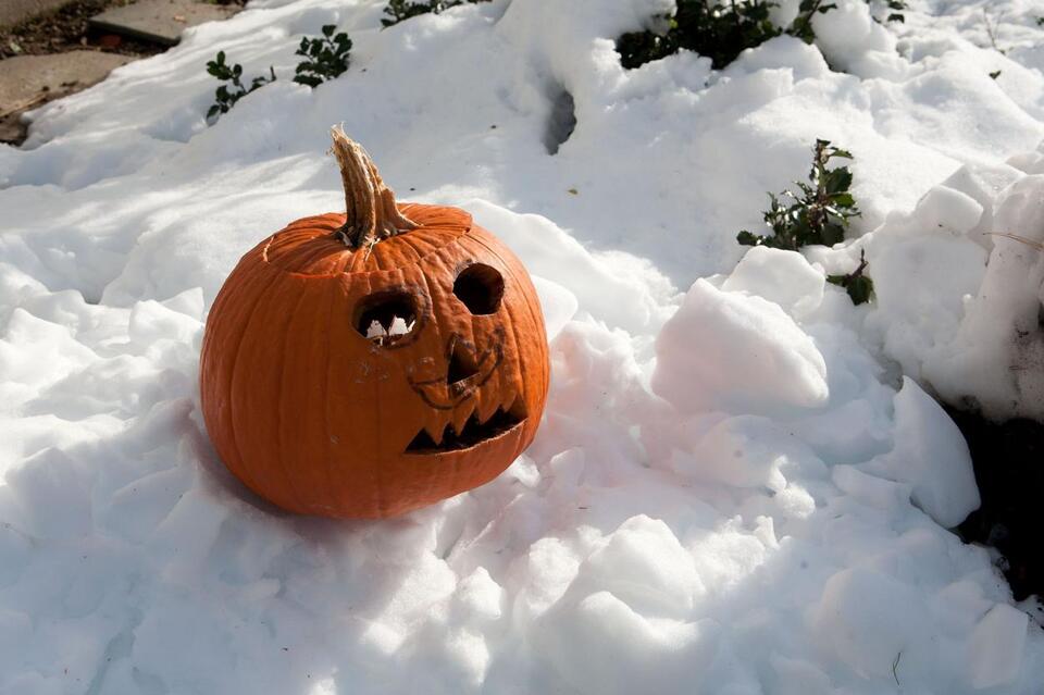 Debunked: No, Northern Colorado Will Not Have Snow On Halloween - NewsBreak