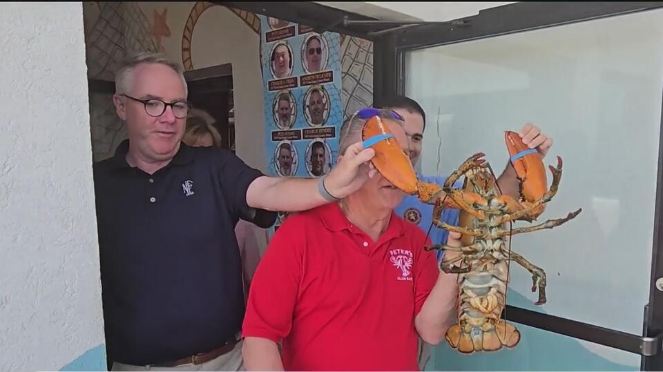 Lorenzo, the 110-year-old giant lobster, gets a second chance at ...