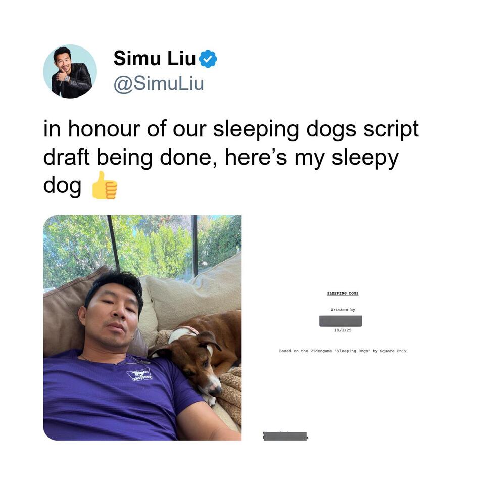 Simu Liu Confirms Sleeping Dogs Movie Script Draft Is Complete - NewsBreak