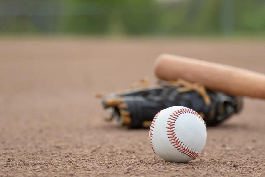 15-year-old Illinois student dies after being struck by baseball during ...