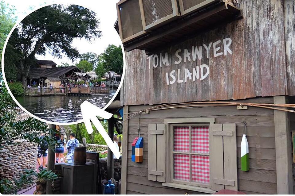 Disney World Guest With Disabilities Falls off Ride Into Magic Kingdom ...