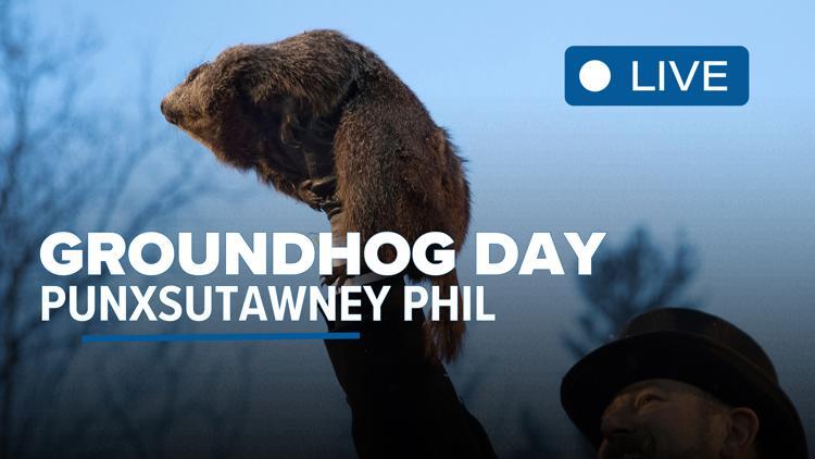 Groundhog Day: Punxsutawney Phil makes his prediction - NewsBreak