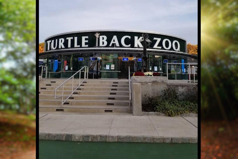 What to expect at Turtle Back Zoo in West Orange, NJ - NewsBreak