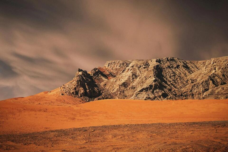Could Animals Adapt to Life on Mars? The Future of Interplanetary ...