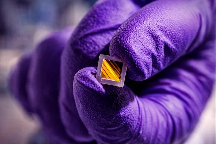 Nanotechnology is changing night vision and thermal imaging - NewsBreak