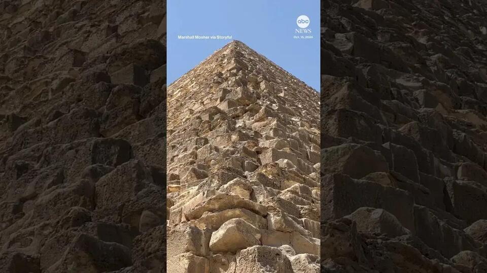 What Happened To The Dog That Climbed The Pyramid Of Giza? - NewsBreak