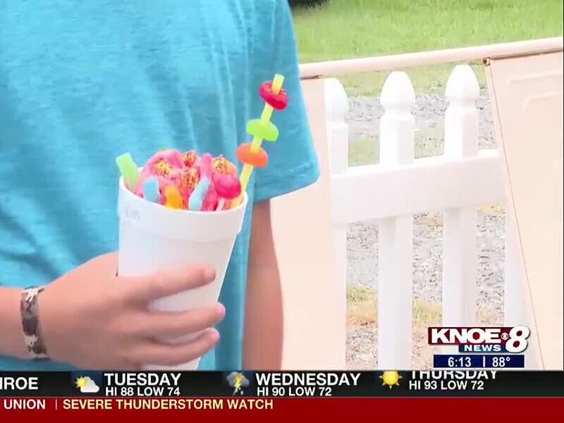 Feed Your Soul: The Snow Cone Place