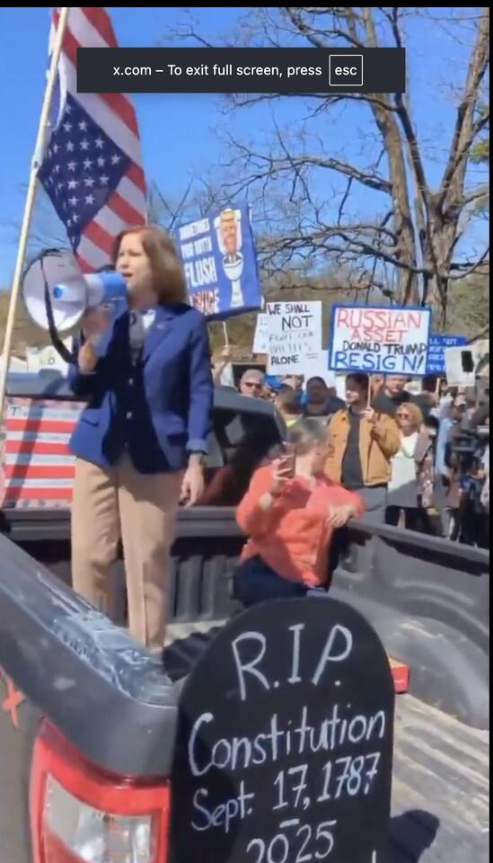 “RIP Constitution”: Democratic Candidate for Virginia Lt. Governor ...