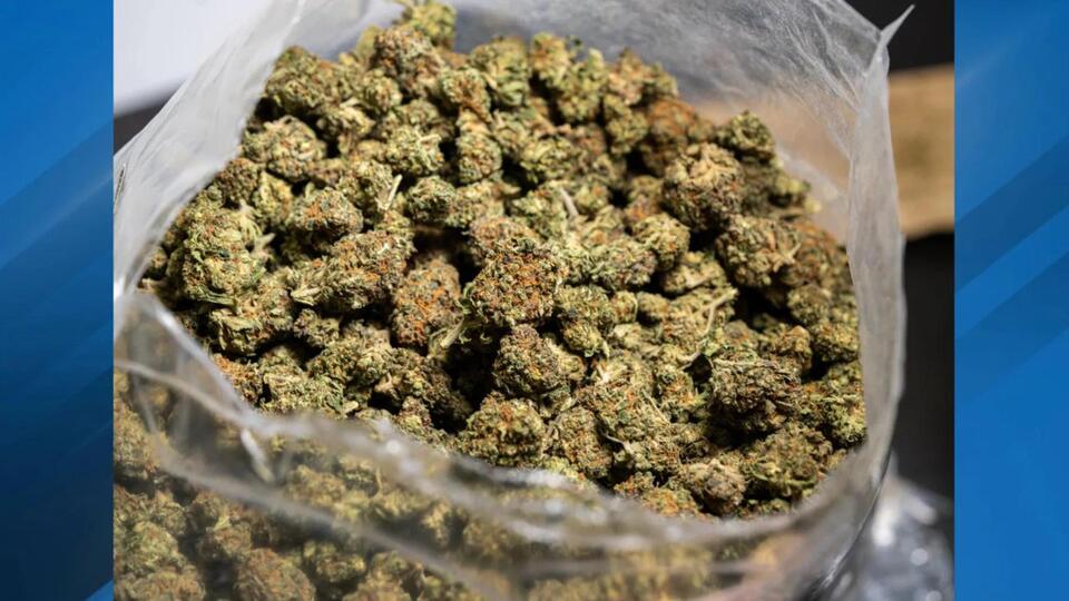 Cleveland police seize over a pound of marijuana in school zone traffic ...