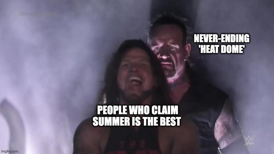 The 51 Best Memes Today You Won’t Want To Miss - NewsBreak