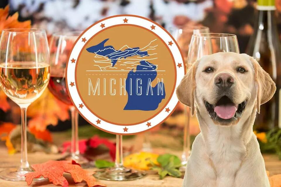 Check Out These Dog-Friendly Cideries and Wineries in Southwest ...