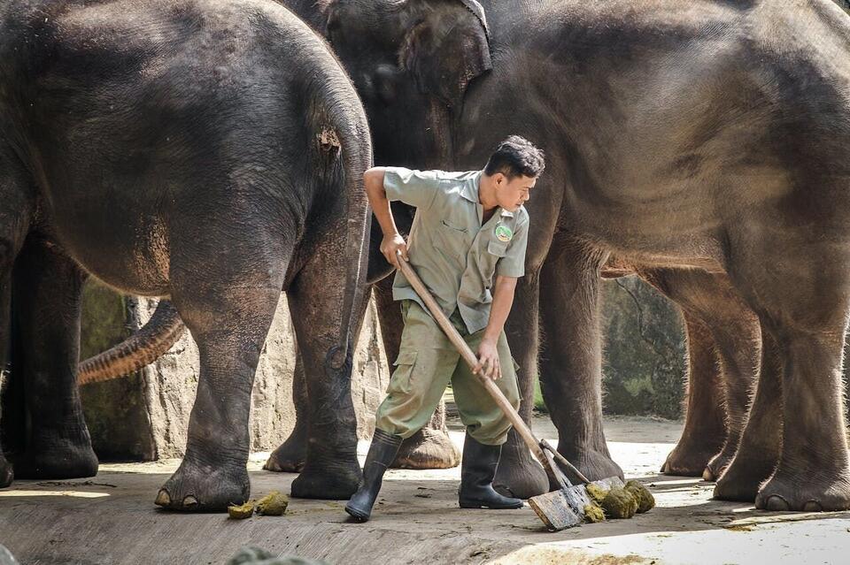 Study reveals emotional toll animal death have on zookeepers - NewsBreak