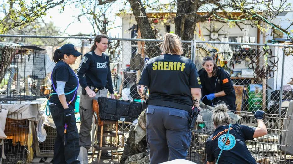 100+ Erath County animals rescued from ‘deplorable’ conditions - NewsBreak