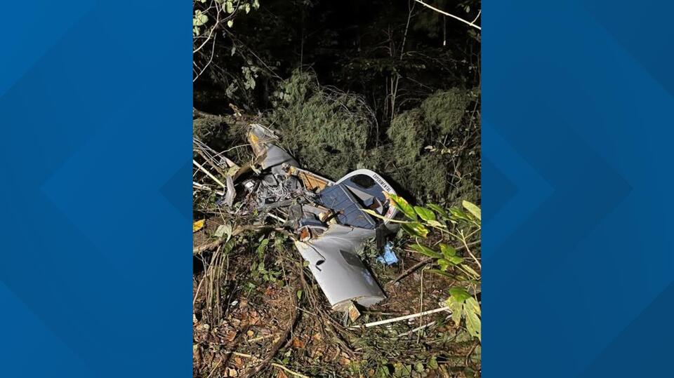 Pilot alive after single engine plane crash in Southern Indiana - NewsBreak