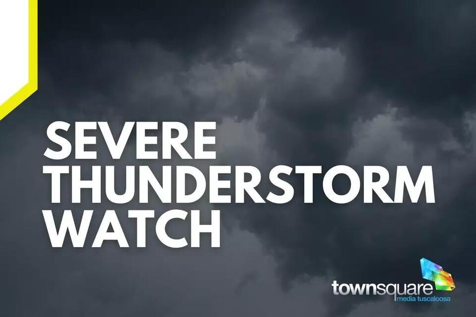 ALERT: Severe Thunderstorm Watch Issued for Portions of Alabama - NewsBreak