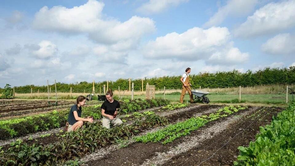 USDA unveils $700M pilot program to boost regenerative agriculture ...