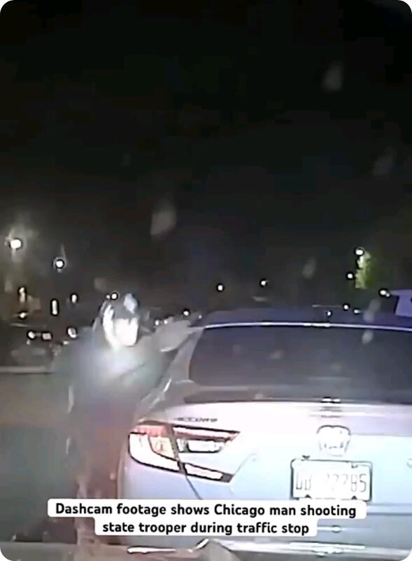 Shocking dashcam footage shows a Chicago man shoot an Illinois State ...