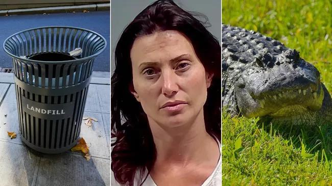 The Weirdest Florida Stories We Found In April 2024 - NewsBreak