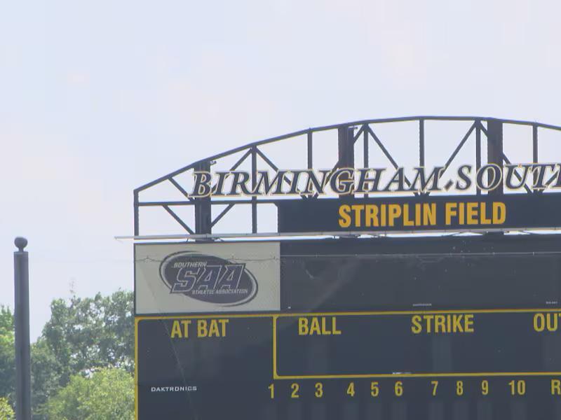 Birmingham-Southern Alumni gather to cheer on Panthers baseball team on ...