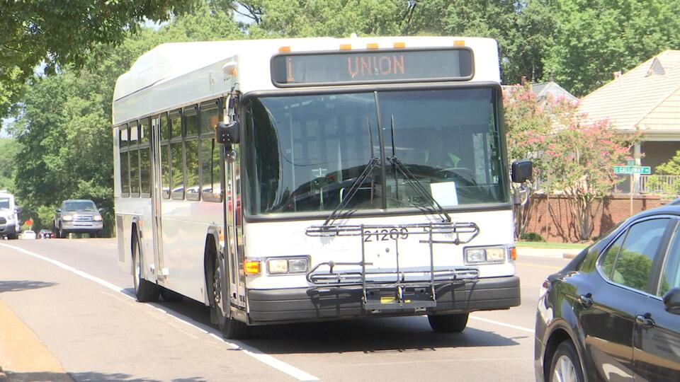 MATA's interim CEO discusses layoffs, bus route eliminations, firing ...