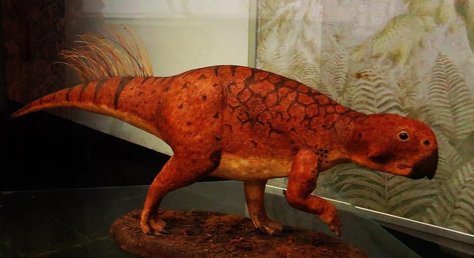 Psittacosaurus: The Dino With Cheek Horns and a Bristly Tail - NewsBreak