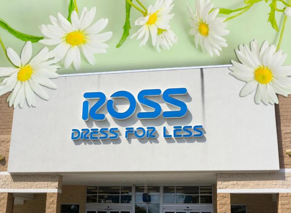11 Best New Ross Dress for Less Spring Home Finds Hitting Shelves This ...