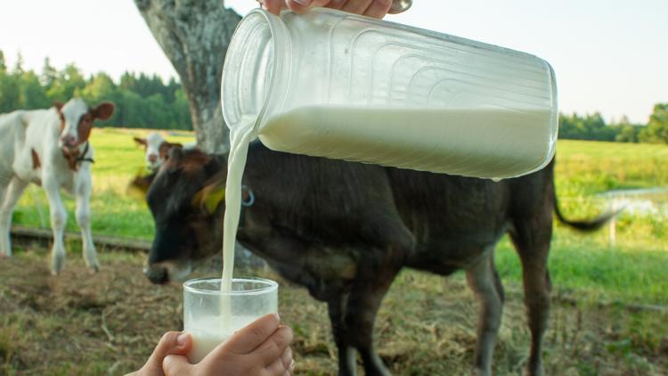 21 people sick after consuming raw milk in Florida, health officials ...