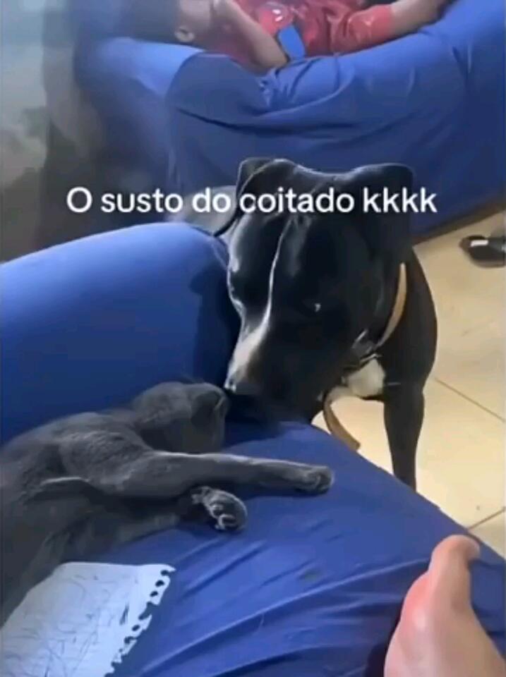 perks? This social media influencer shows how T‑Mobile is helping her ...