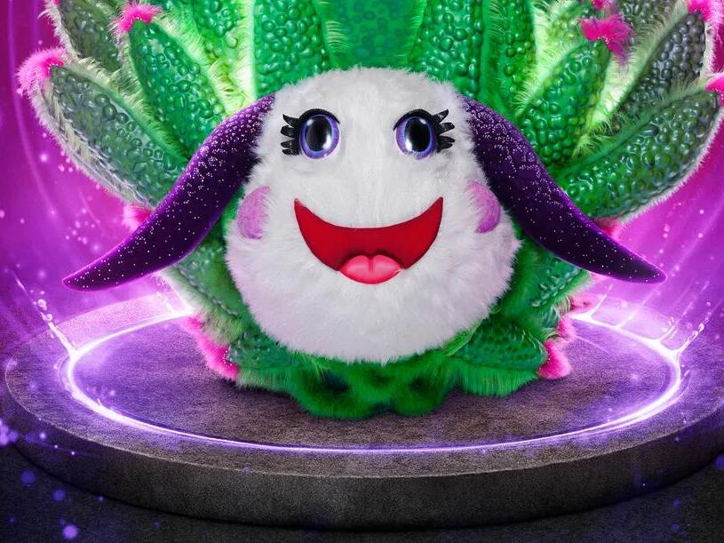 Football Great Eliminated First on Masked Singer Expects 'Plenty of ...