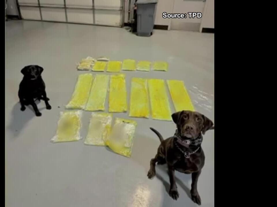 K-9 helps law enforcement in Tucson drug recovery