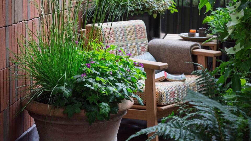 5 Trends in Container Planting for 2026 — These Designer-Approved Looks ...